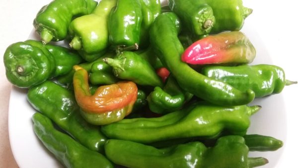Melrose Peppers – A Most Wonderful Time of the Year – Mama D's Kitchen ...